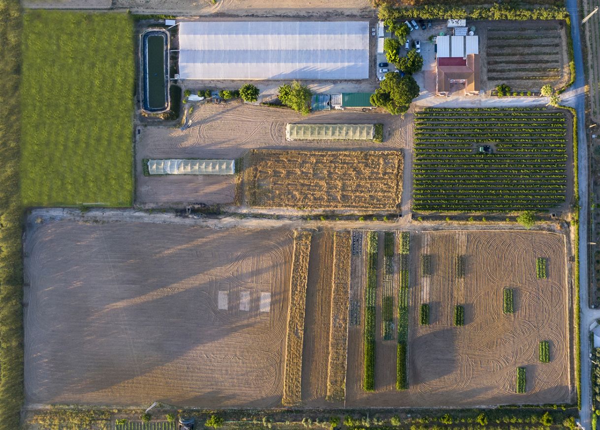 BioChem Agrología - Home