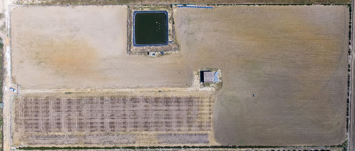 BioChem Agrología - Home