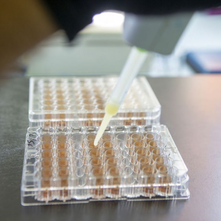 BioChem Agrología - Ecotoxicology