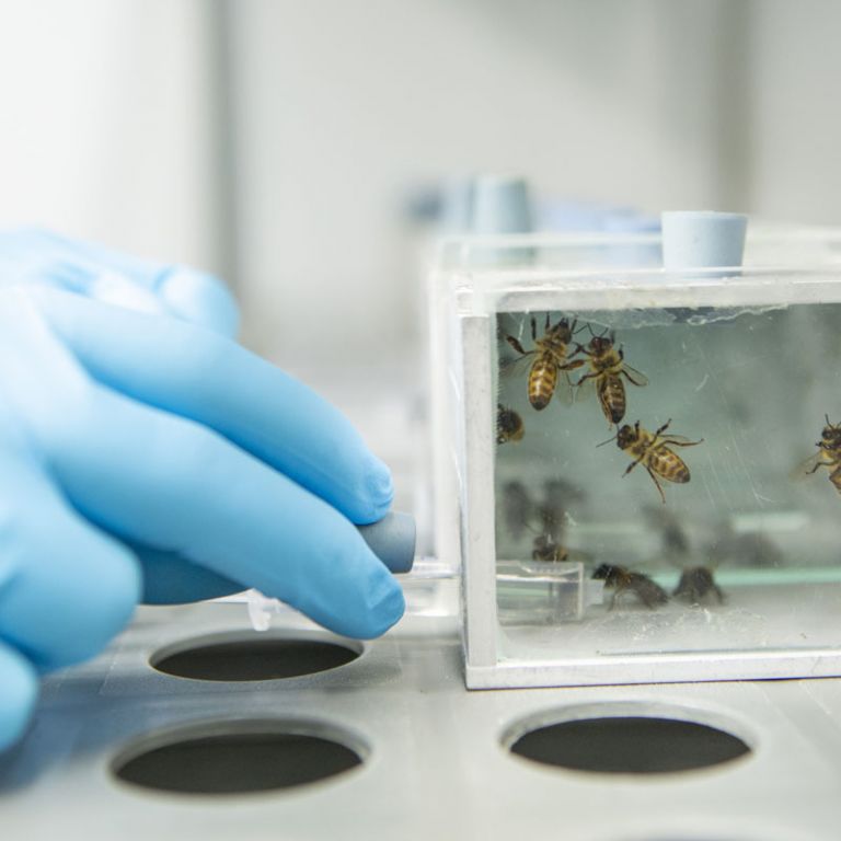 BioChem Agrología - Ecotoxicology