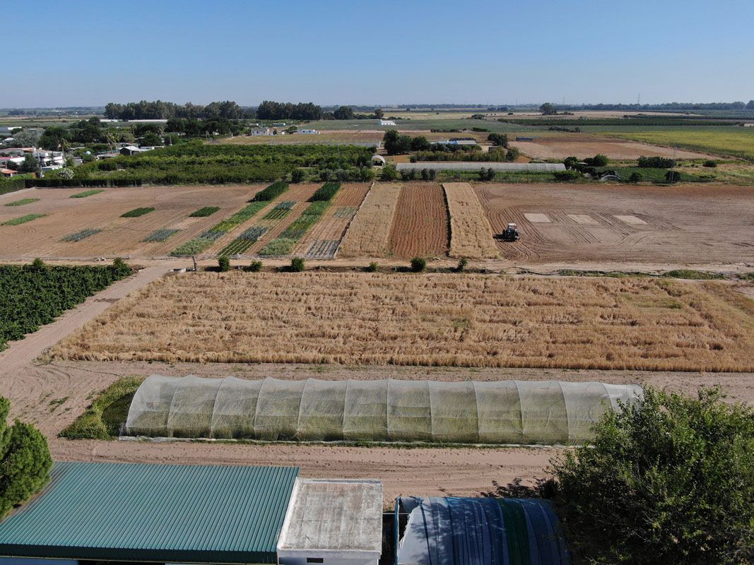 BioChem Agrología - Eficacia y fertilización